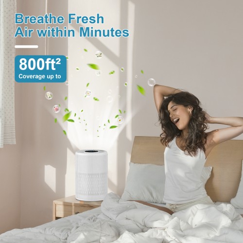 Air Purifiers