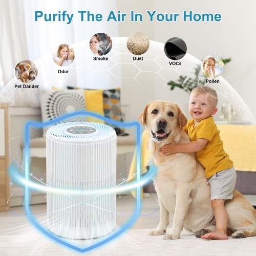 Air Purifiers