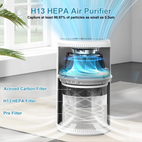 Air Purifiers